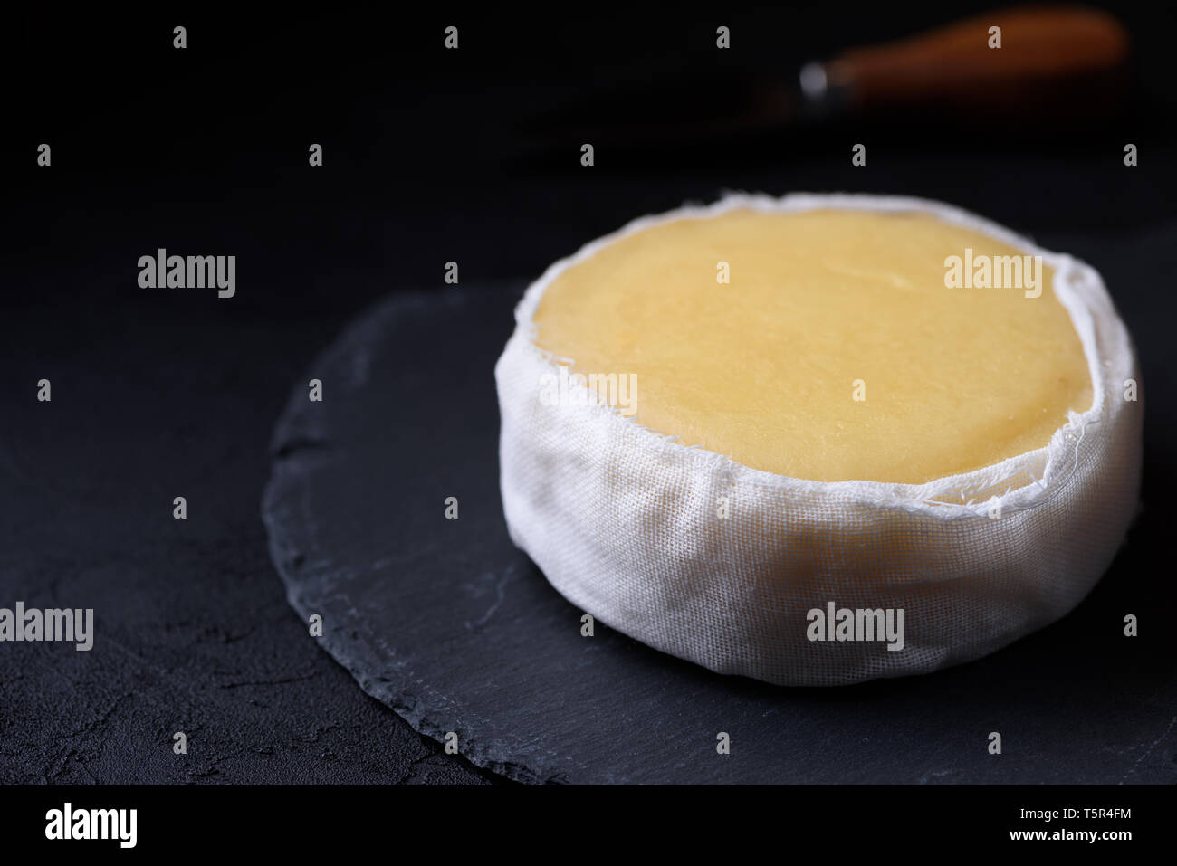 Butter soft creamy sheep cheese from Seia region Portugal on slate ...