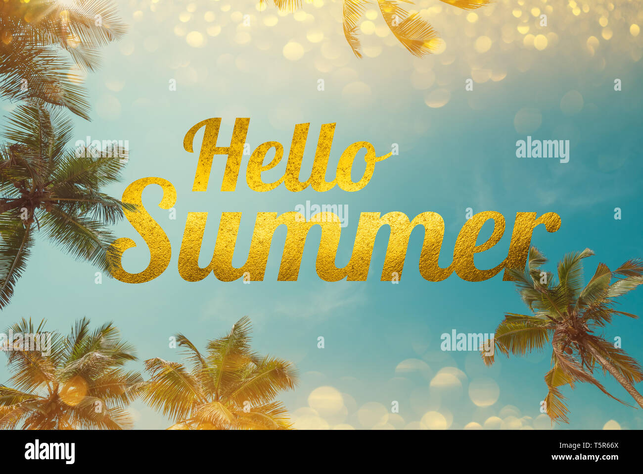 Hello Summer Photography