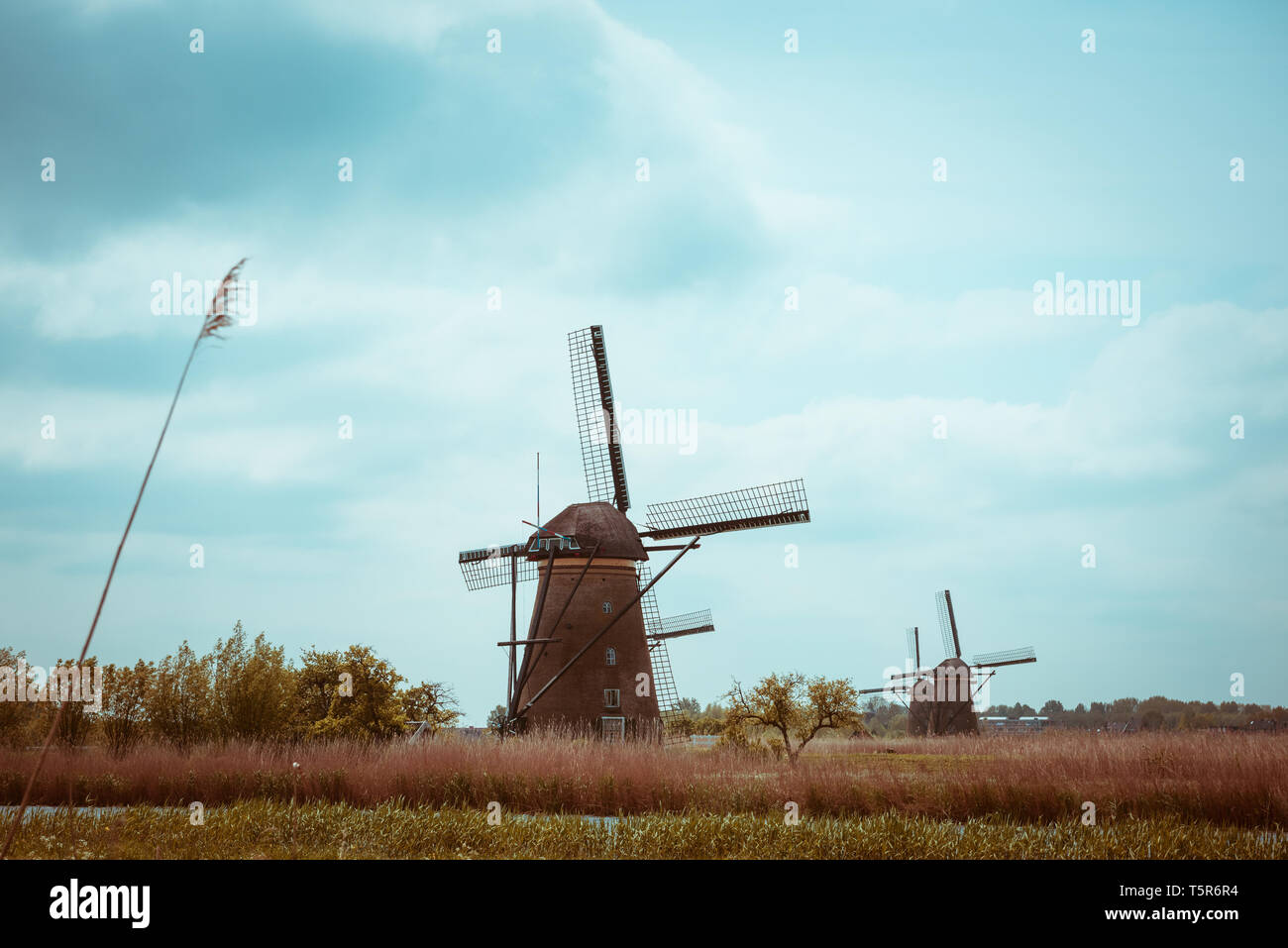 Dutch windmills, vintage color toned Stock Photo - Alamy