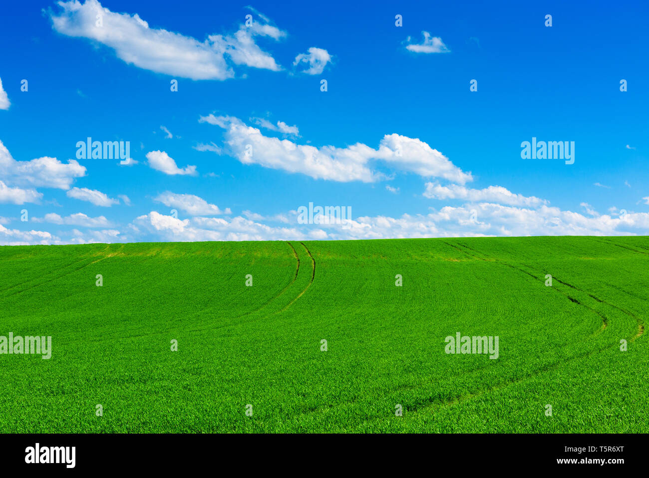 Green field sunny sky hi-res stock photography and images - Alamy