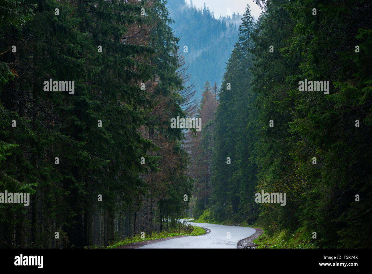 Curved mountain road misty hi-res stock photography and images - Alamy