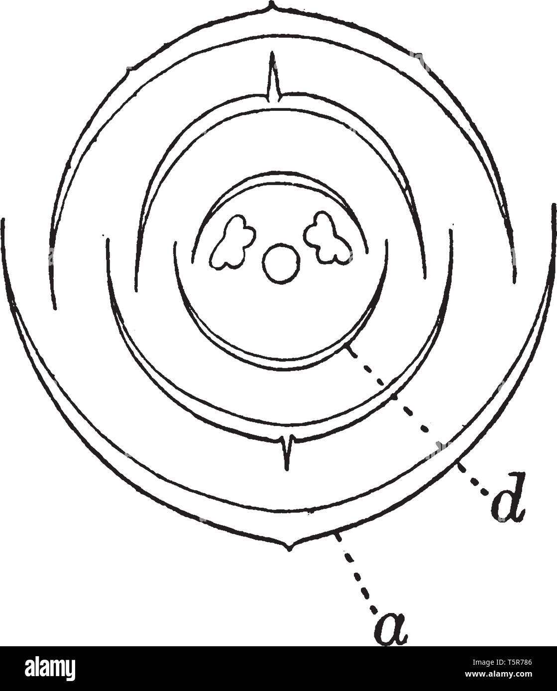 Spike clusters Stock Vector Images - Alamy