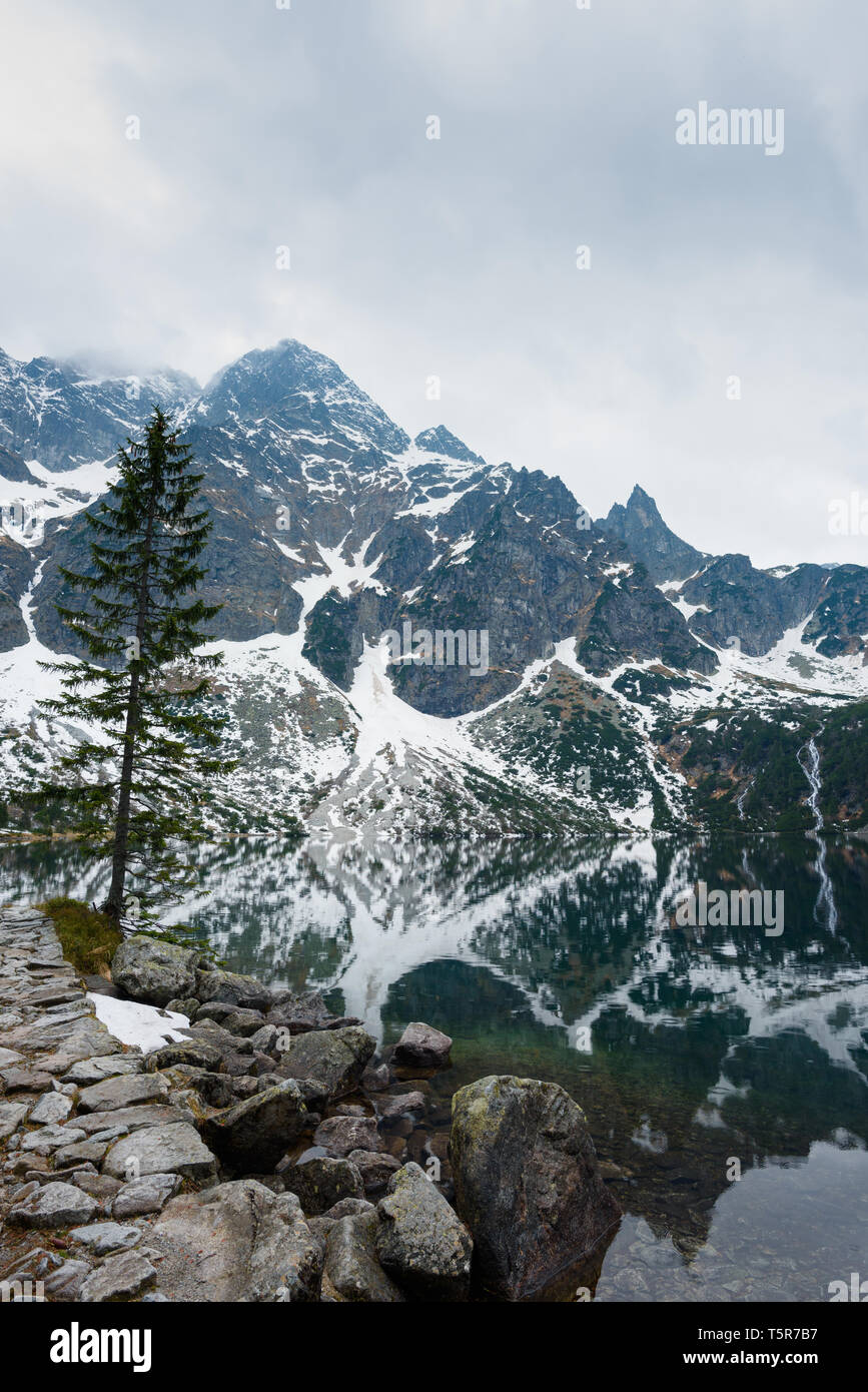 Snowy mountain path with pine tree and lake Stock Photo - Alamy