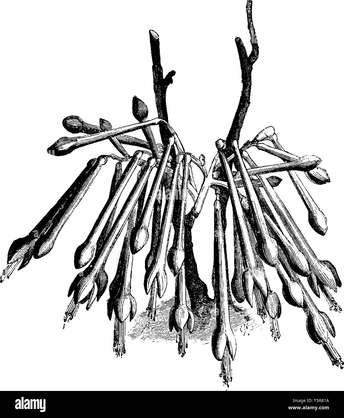 Yellow red on black Black and White Stock Photos & Images - Alamy