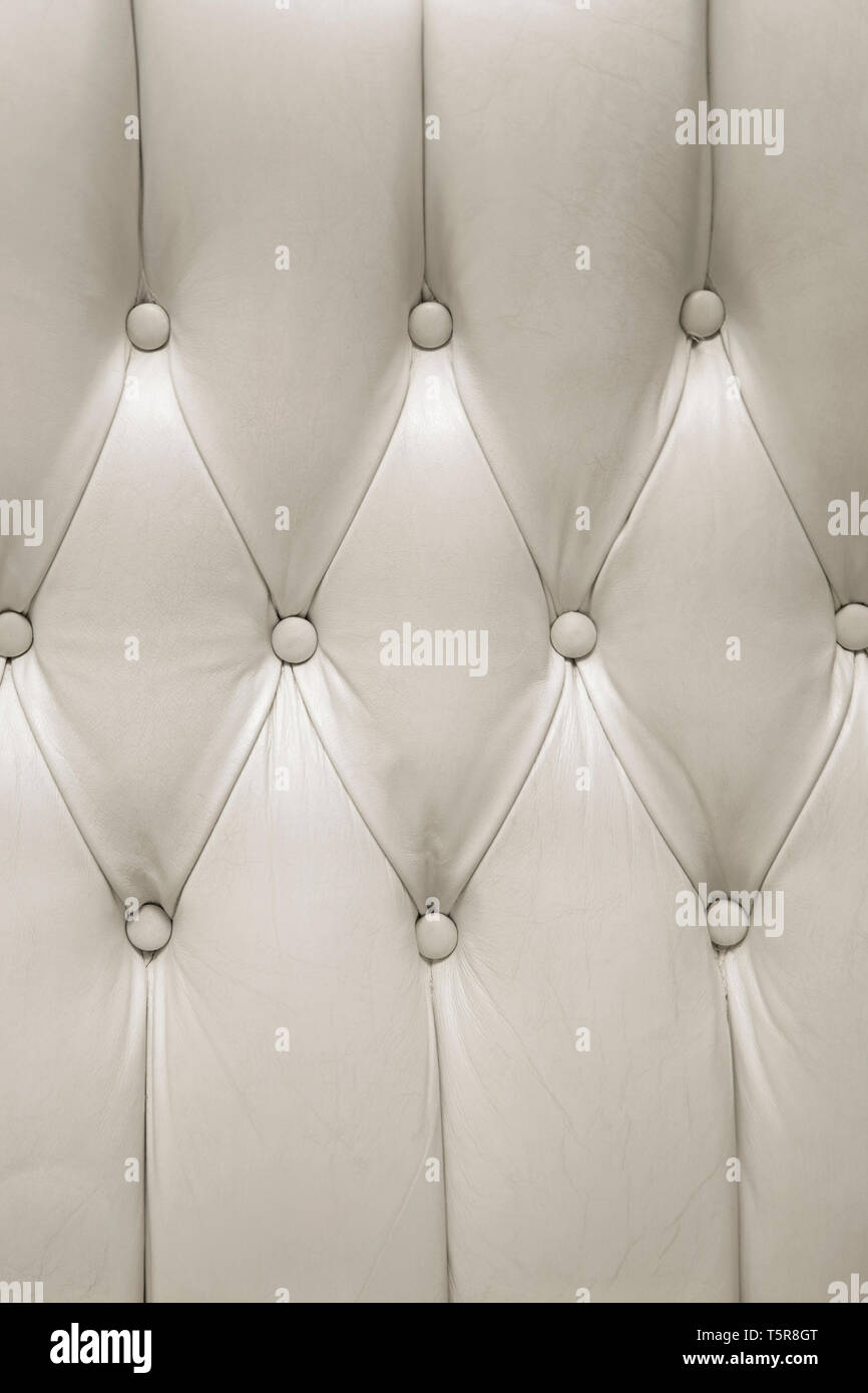 Closeup of the elegant leather texture with buttons for pattern and ...