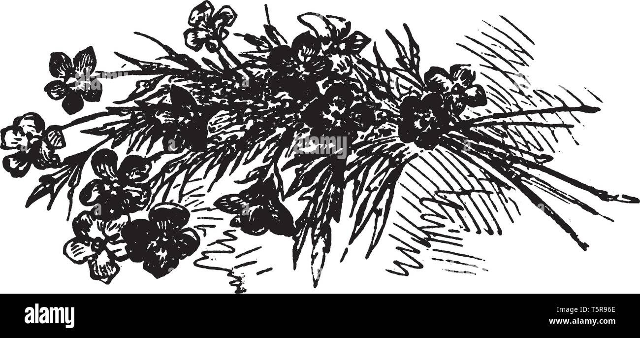 The flowers in bunch, the flowers stem cut from the base with leaf ...