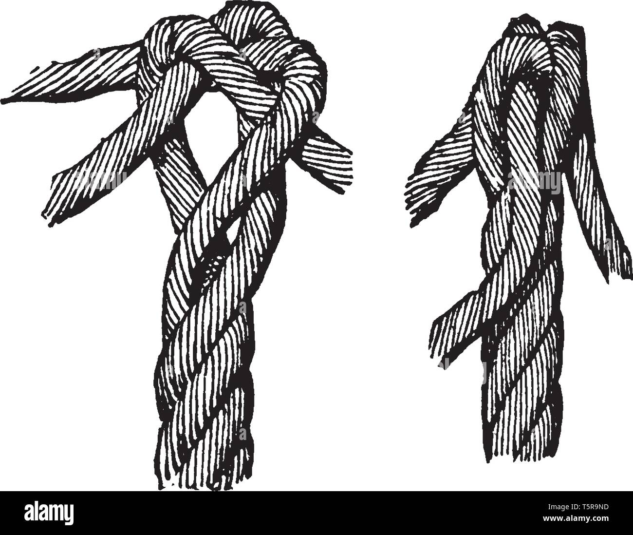 Crown Knot which is a three stranded crown knot, vintage line drawing ...