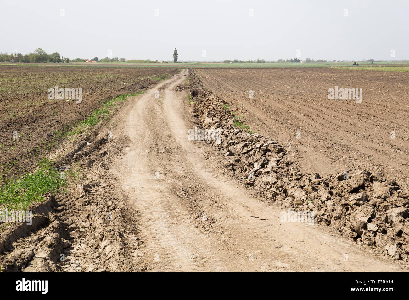 Country road between farm fields Stock Photo - Alamy