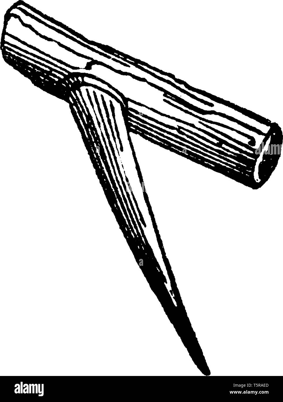 Thorn line hi-res stock photography and images - Alamy