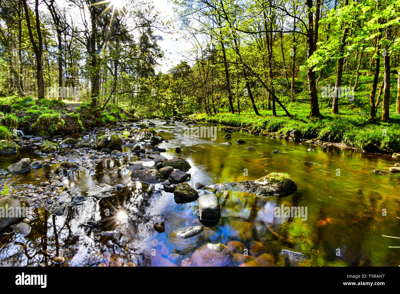 Hebden Water, Hardcastle Crags, Hebden Bridge, Calderdale, West ...