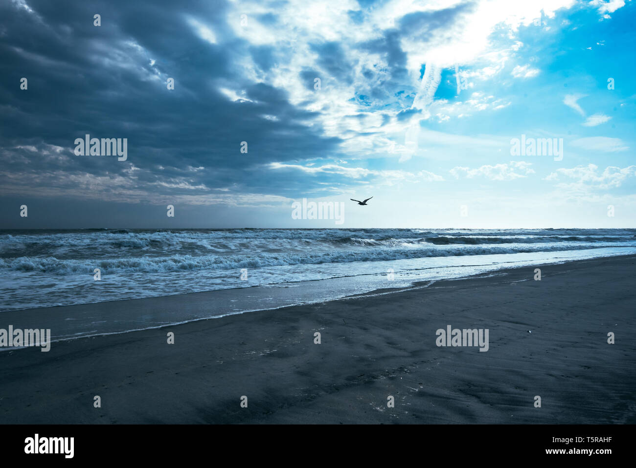 Ocean beach on a windy winter day Stock Photo - Alamy