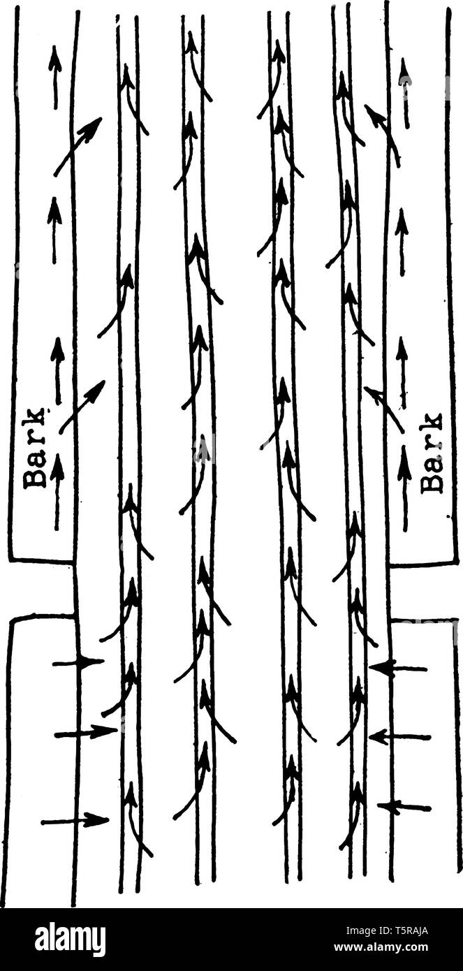 This picture showing a stored food. These picture show the flow of food ...
