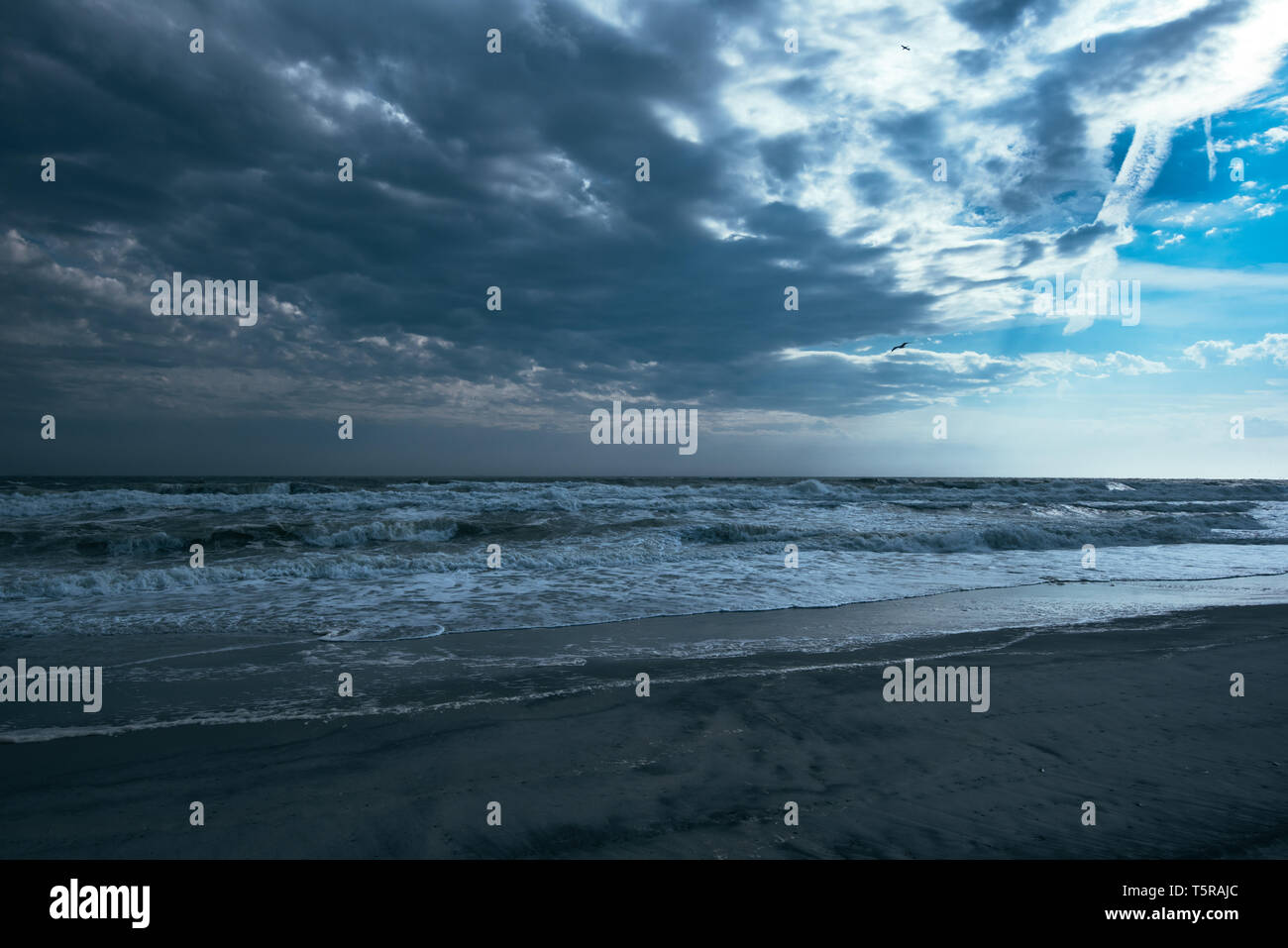 Ocean beach on a windy winter day Stock Photo - Alamy