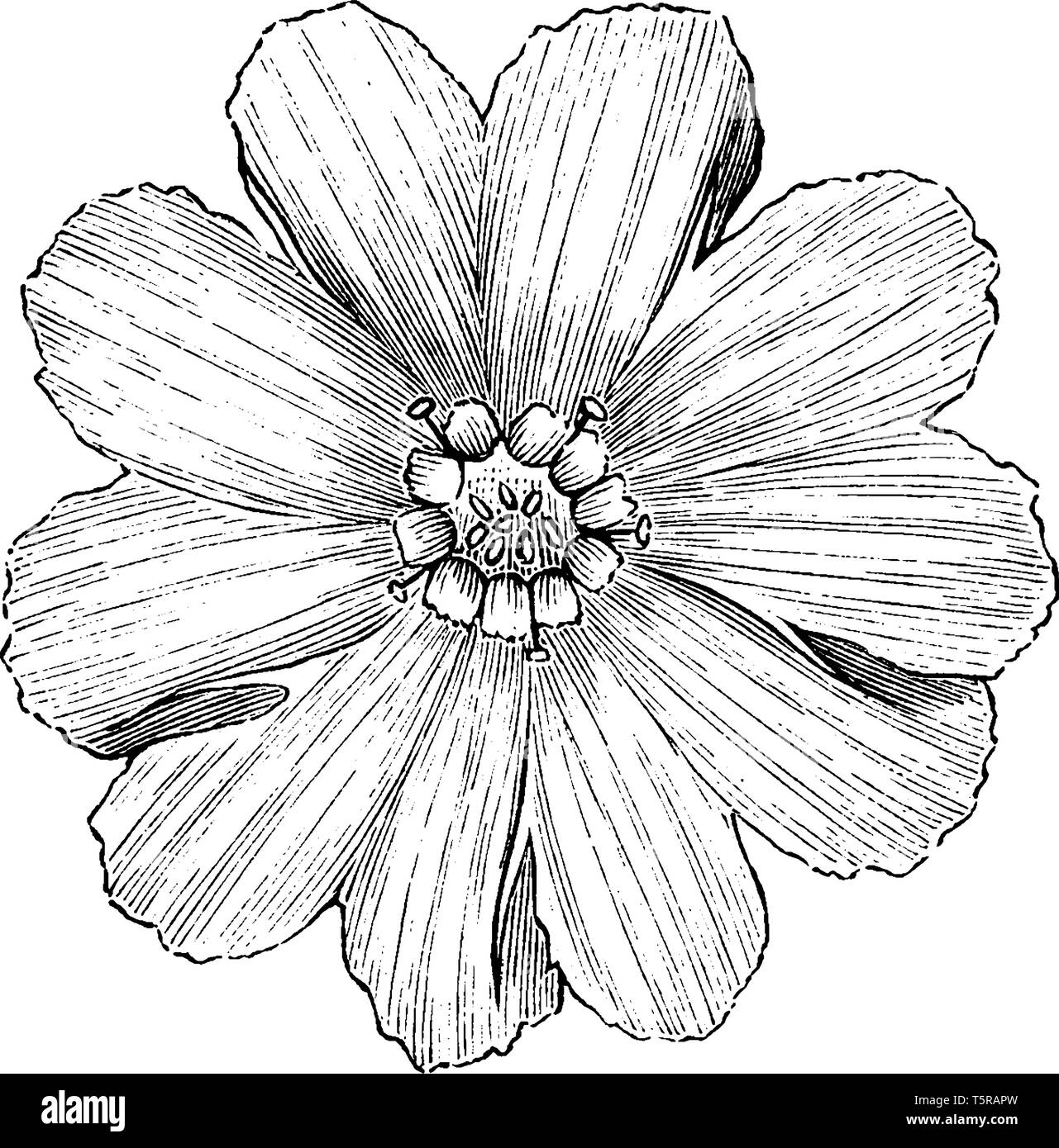 Very large image Black and White Stock Photos & Images - Alamy