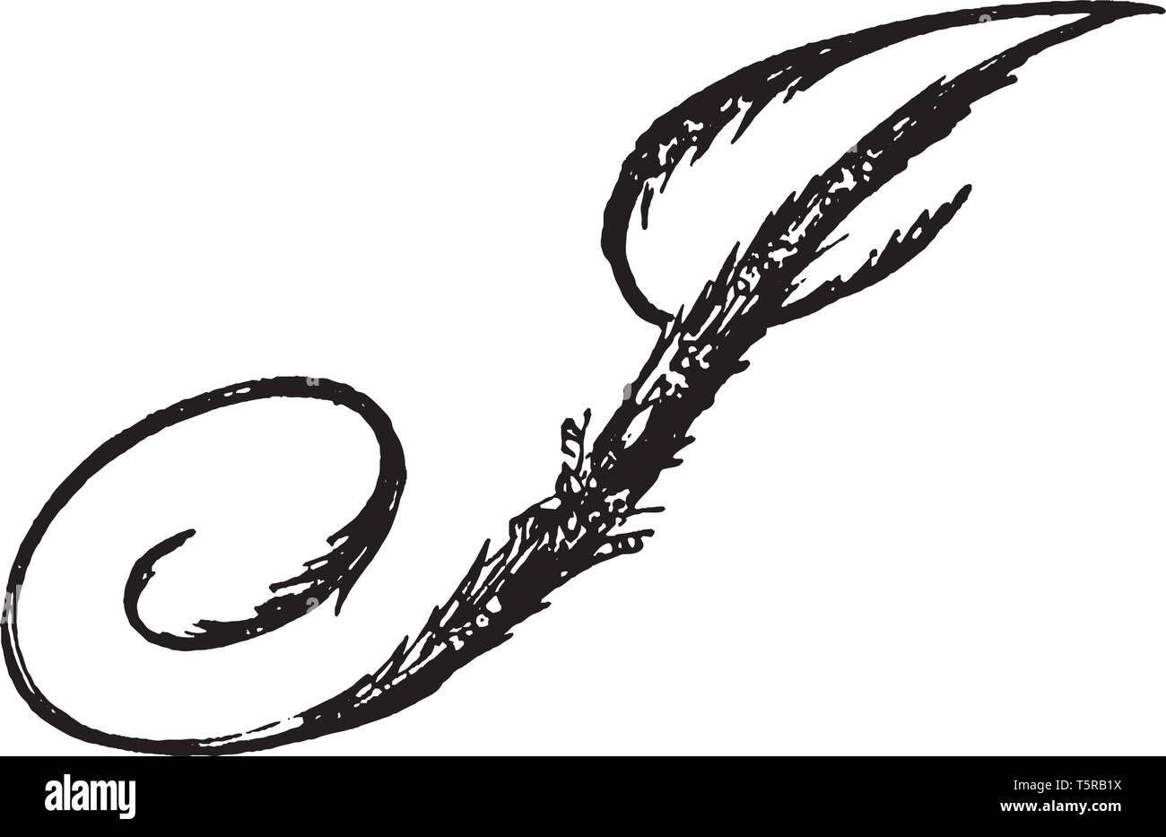 A letter I in ornamental script, vintage line drawing or engraving ...