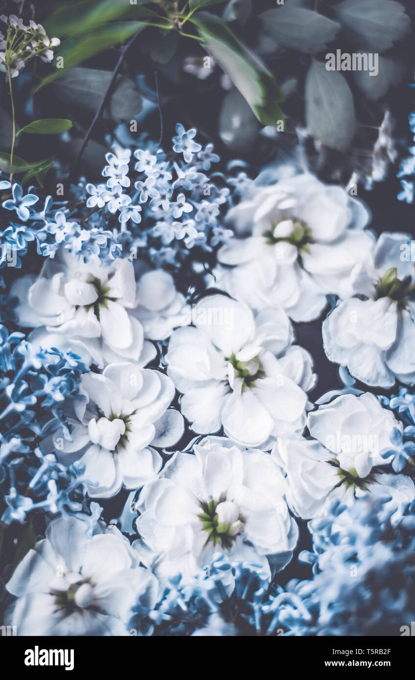 Botanical backdrop, nature and gardening concept - Vintage flowers in a ...