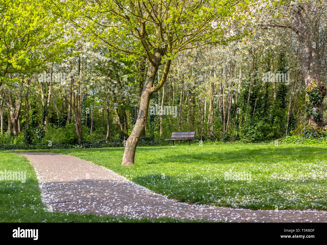 Green gozon hi-res stock photography and images - Alamy