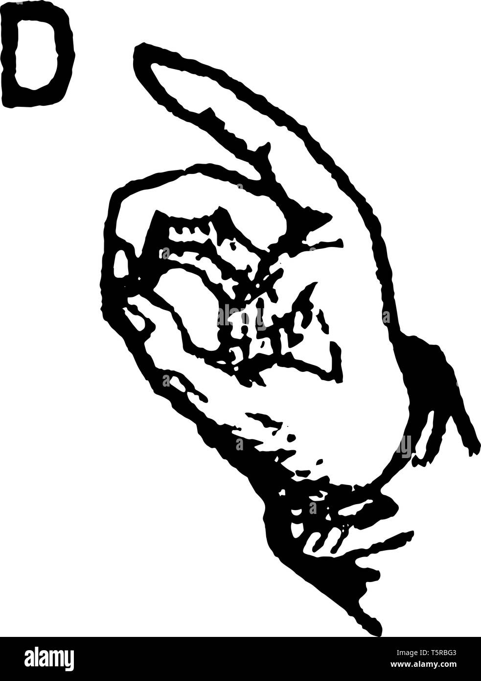 This illustration represents One handed Sign for D, vintage line ...