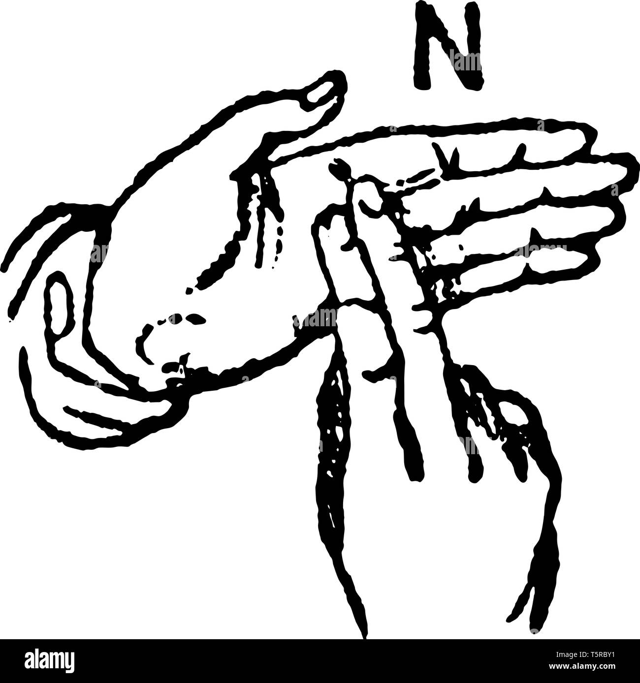 This image shows the two-hand sign for N, vintage line drawing or ...