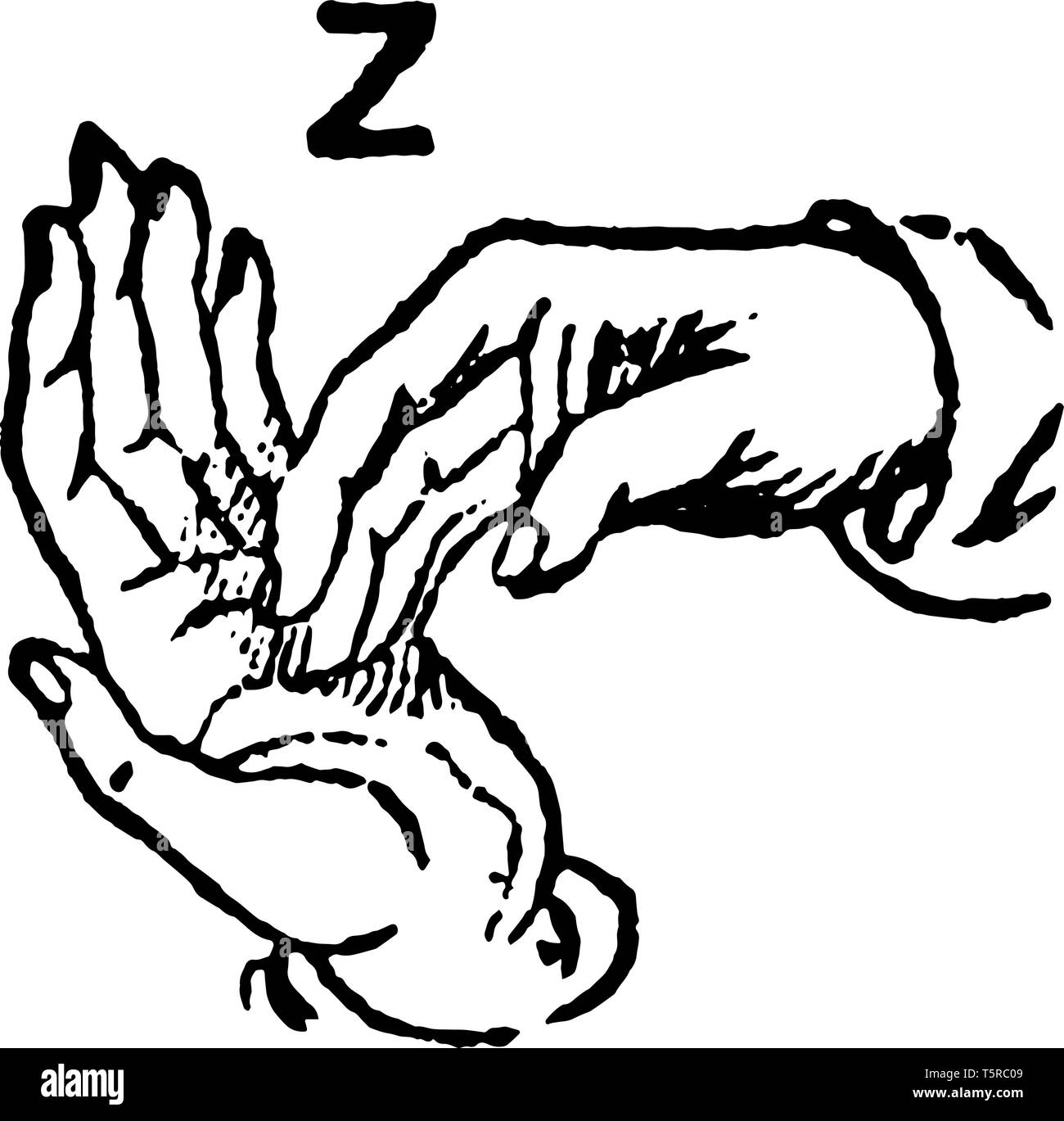 This image shows the two-hand sign for Z, vintage line drawing or ...