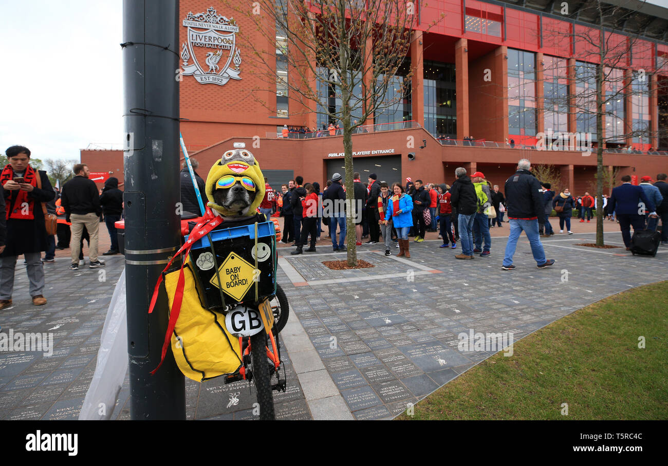 A dog outside Anfield during the Premier League match at Anfield ...