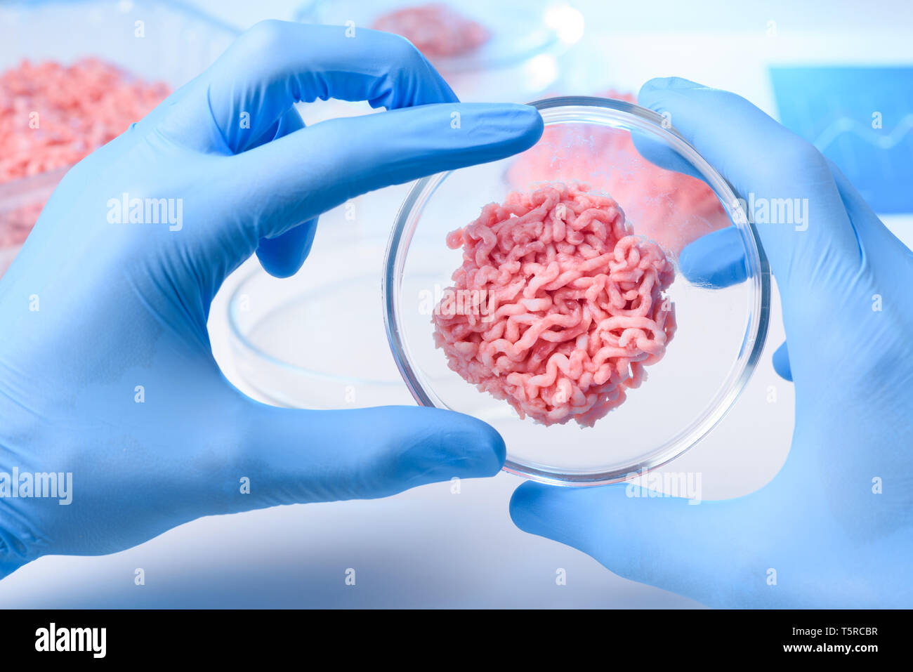 Artificial meat sample in lab petri dish concept Stock Photo - Alamy