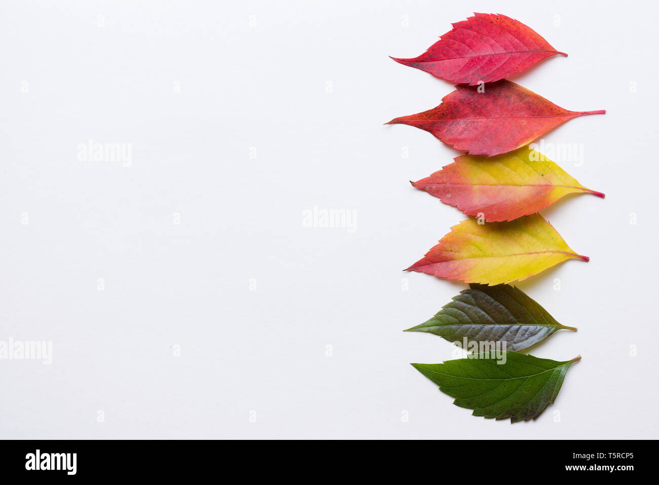 Season change hi-res stock photography and images - Alamy