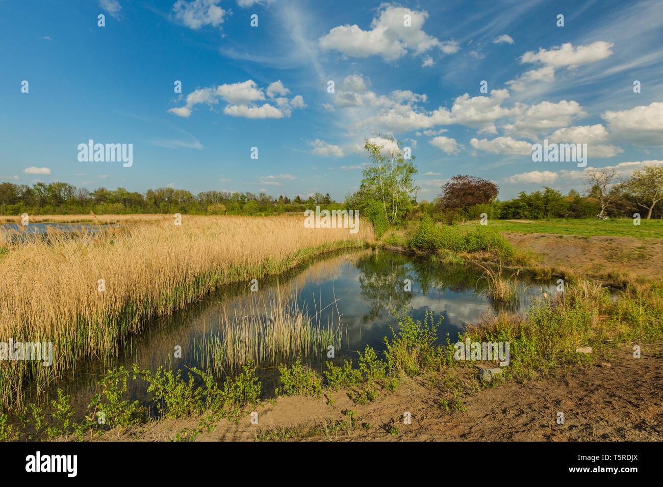 Dirty lake reflection dry hi-res stock photography and images - Alamy