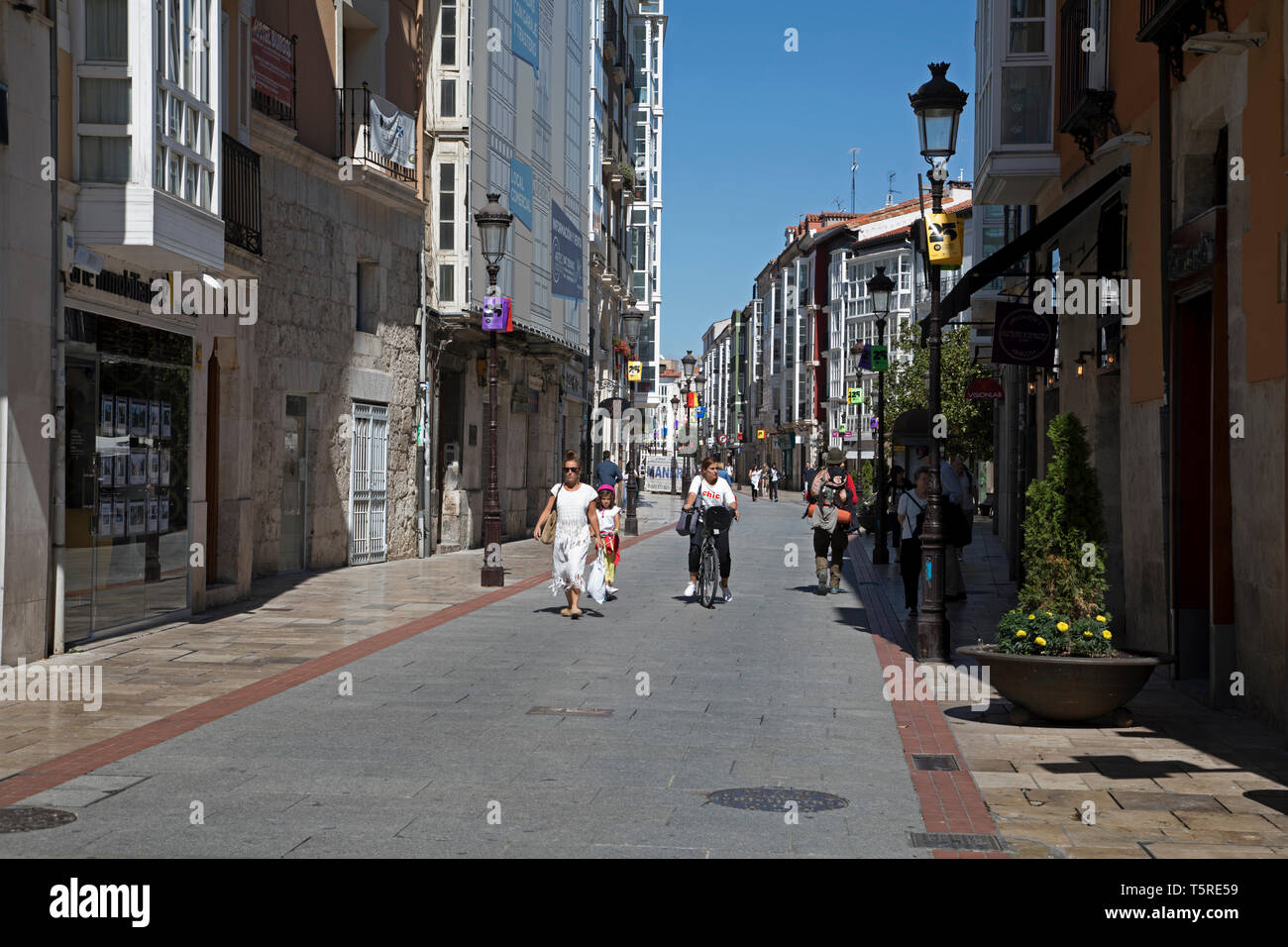 León calvo hi-res stock photography and images - Alamy