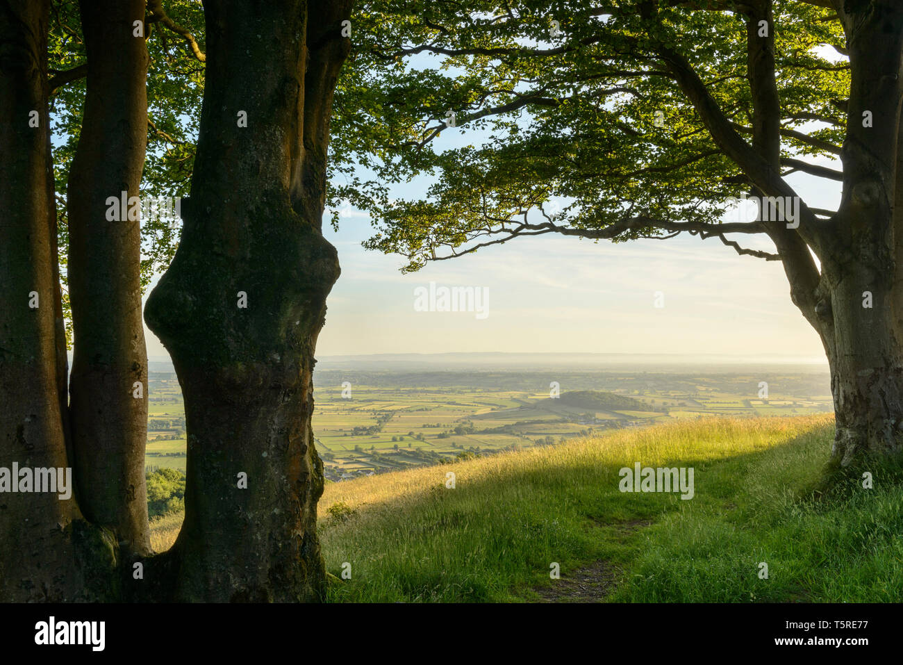 The Somerset Levels and Nyland Hill, photographed from Draycott ...