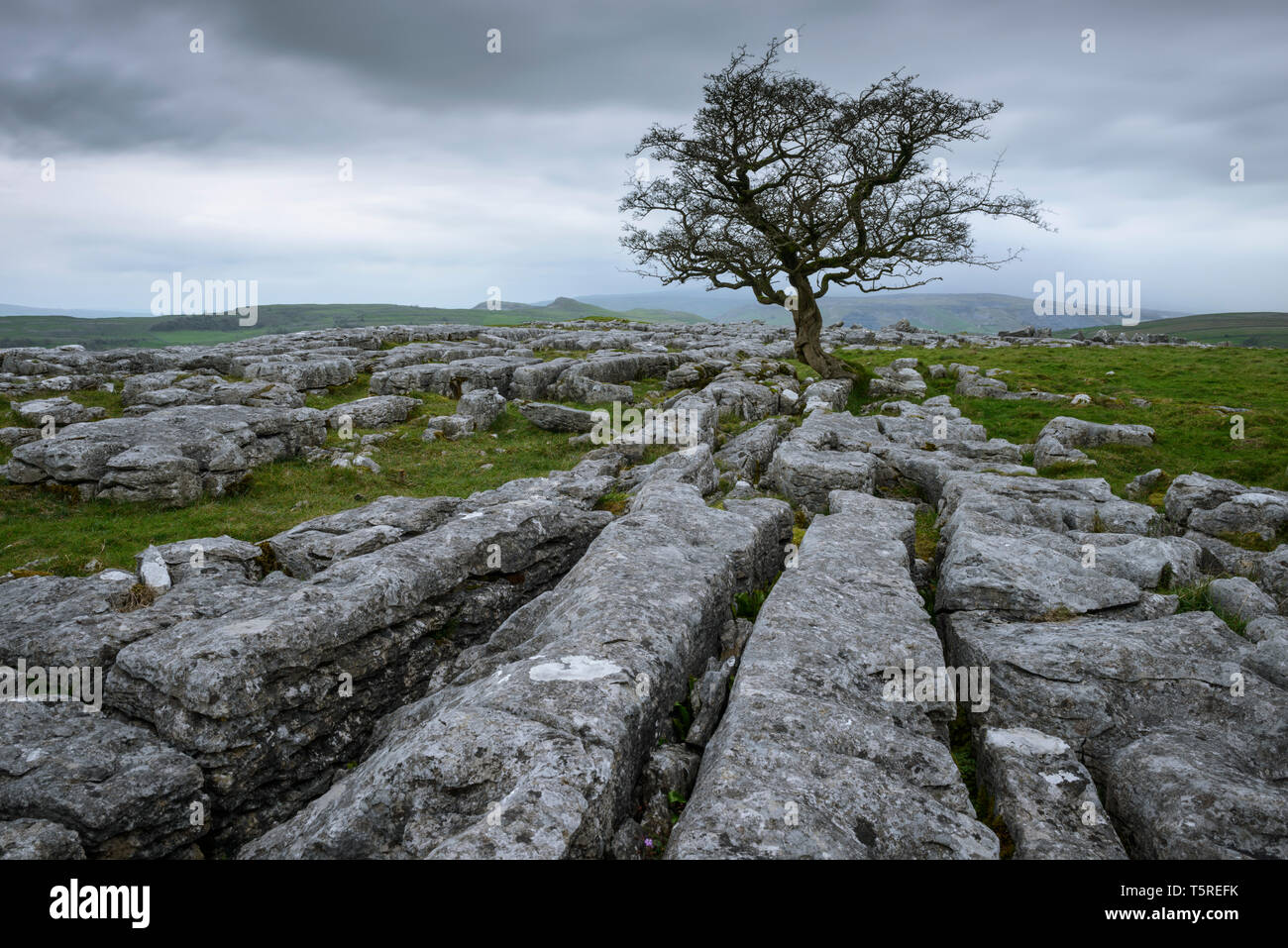 Winskill stones hi-res stock photography and images - Alamy