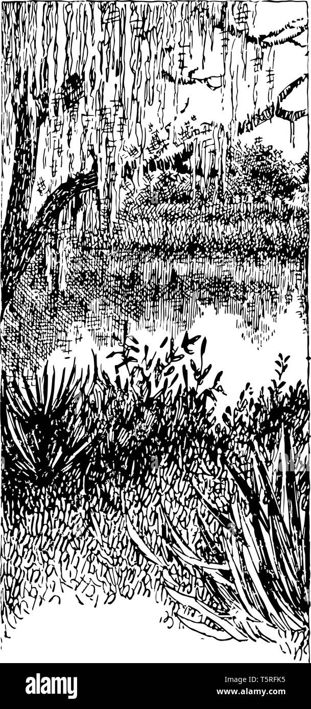 Saint john river is longest river in US which borders 12 counties ...