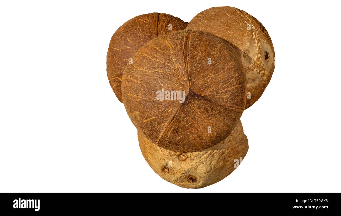Coconut shell cut in half isolated over the white background Stock ...