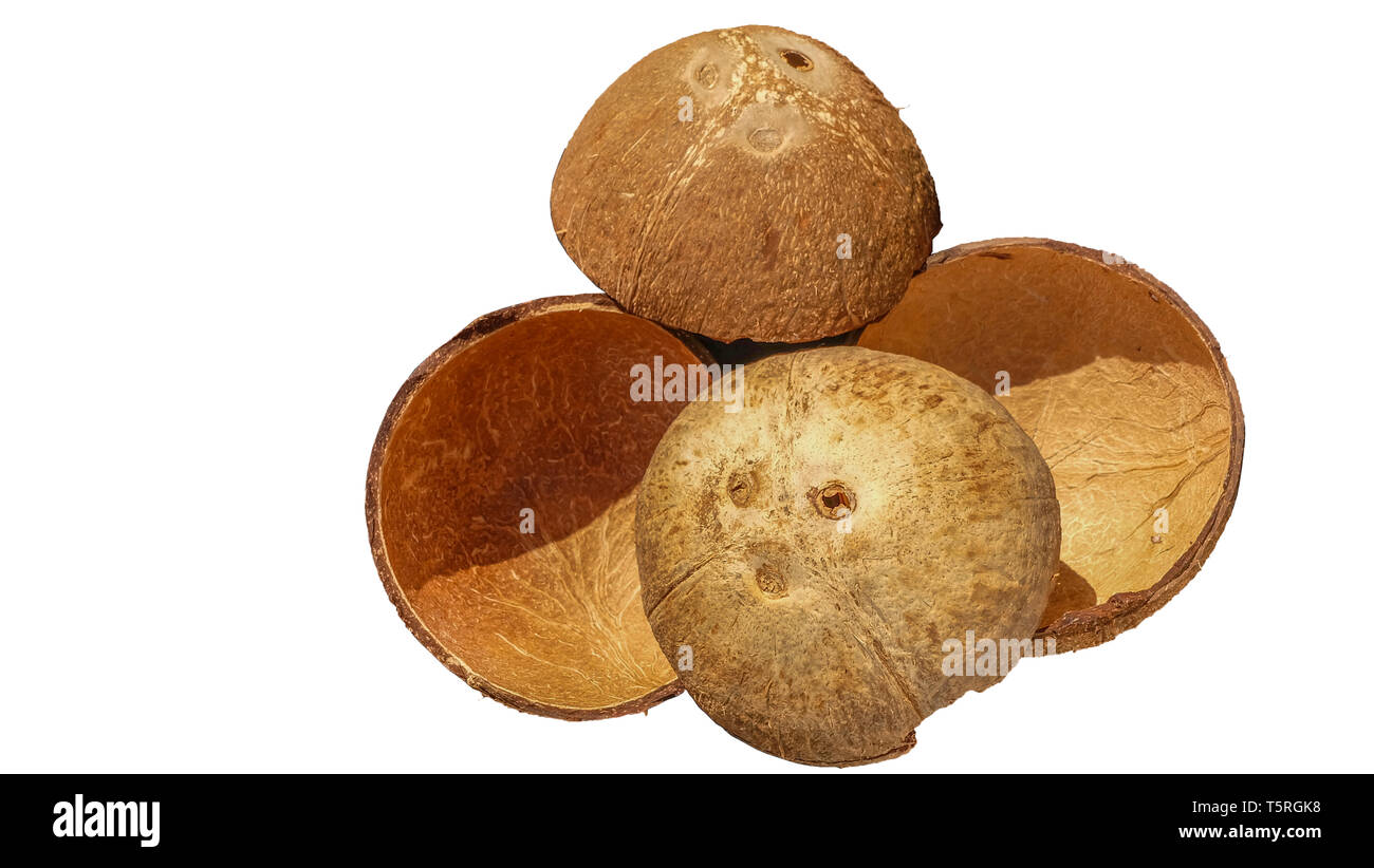 Coconut shell cut in half isolated over the white background Stock ...