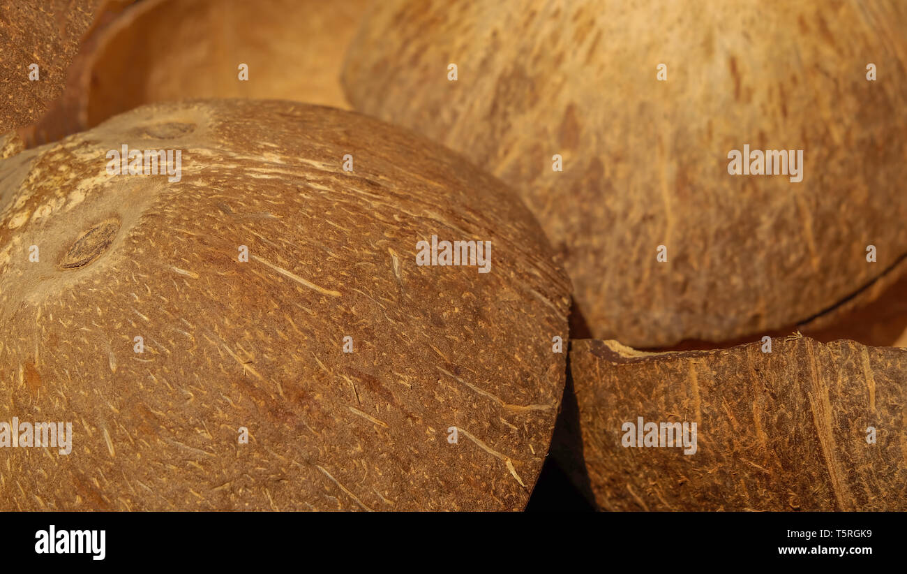 Textured background of brown coconuts shell Stock Photo - Alamy