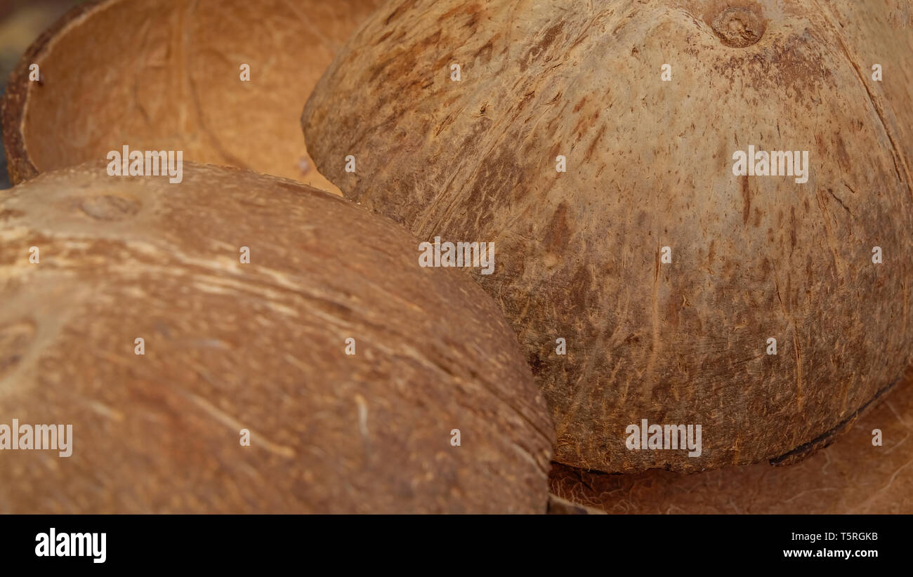 Textured background of brown coconuts shell Stock Photo - Alamy