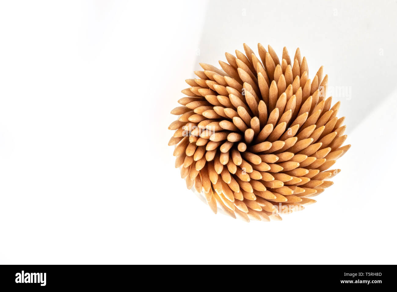 Toothpick plant hi-res stock photography and images - Alamy