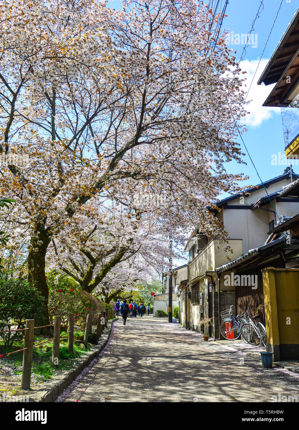 Kyoto, Japan - Apr 9, 2019. People walking on the Philosopher Path for ...