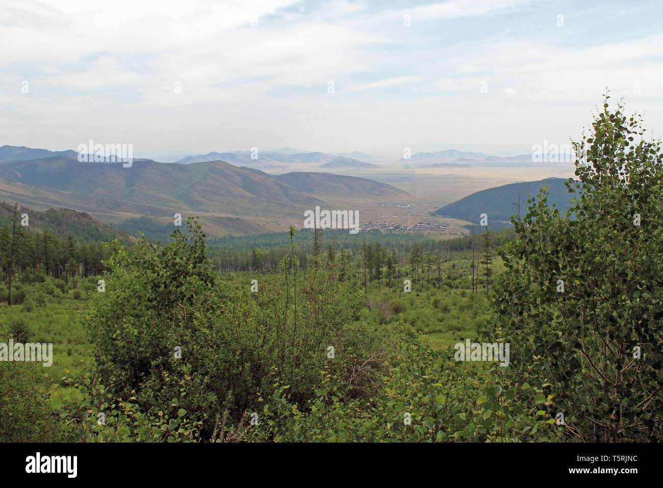 Tuva green hi-res stock photography and images - Alamy