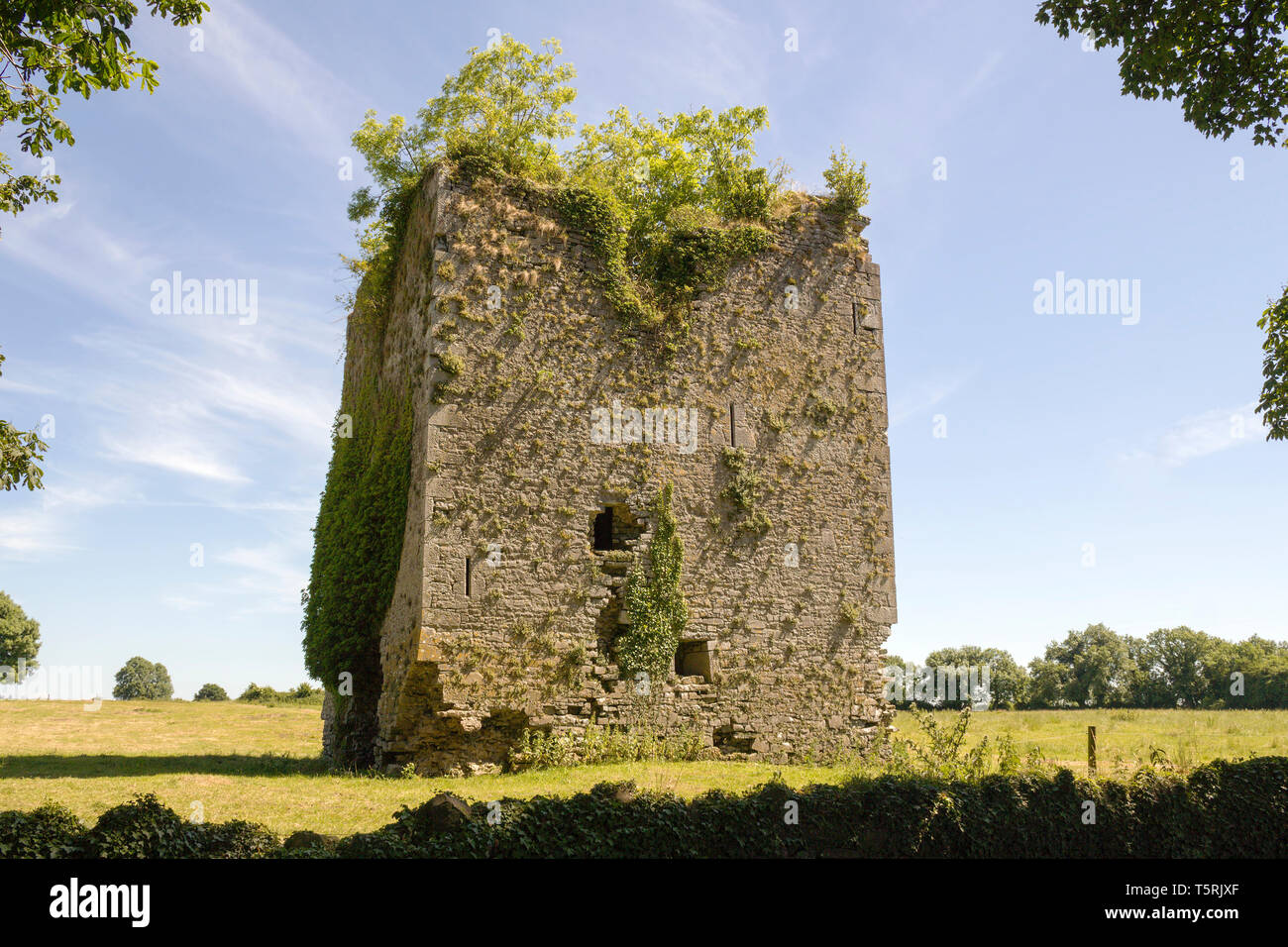 Another example of an irish tower house in the village of Ardmayle in ...