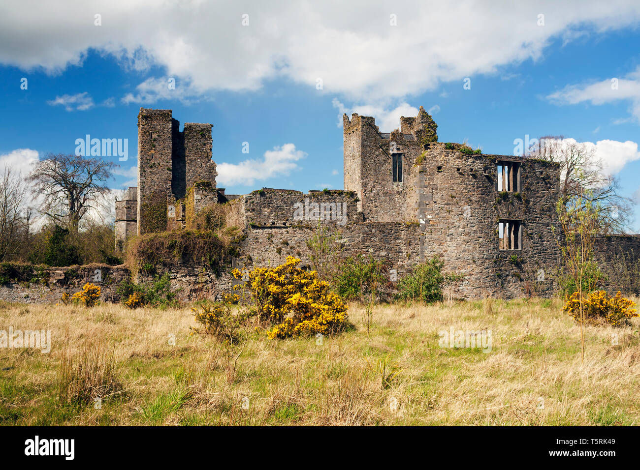 Remains of medieval castle ireland hi-res stock photography and images ...