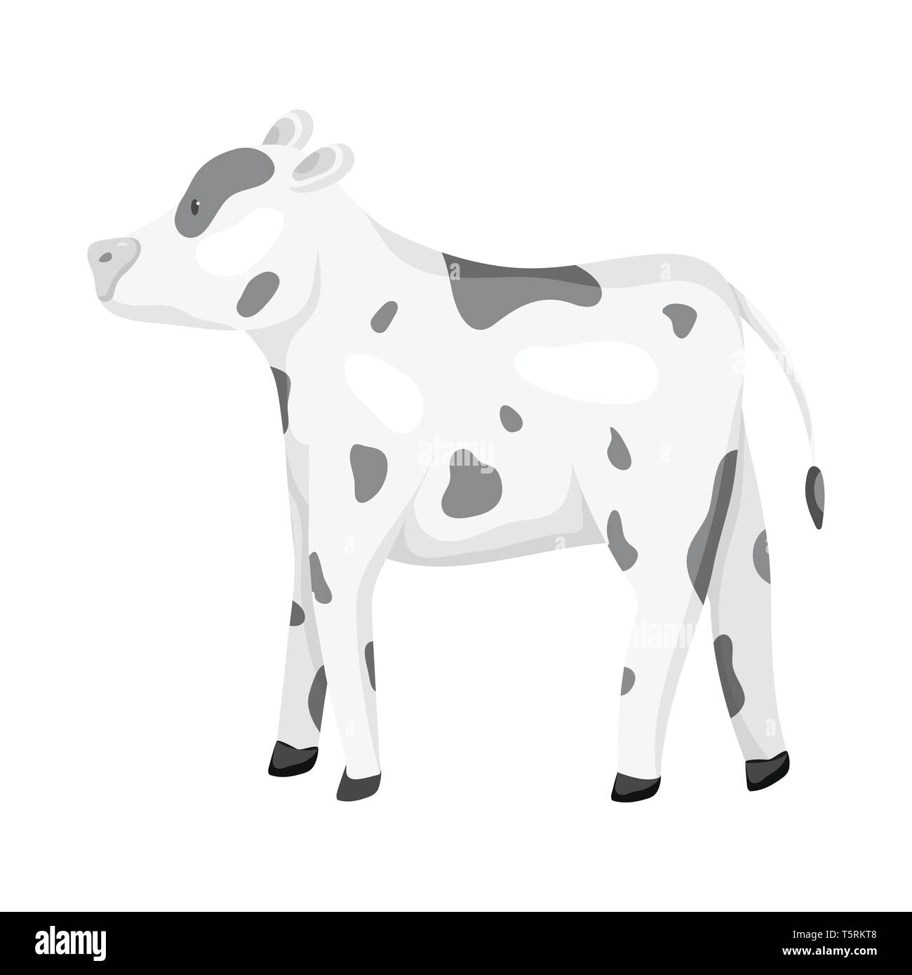 cattle,beef,meat,dairy,husbandry,calf,farm,food,homemade,countryside ...