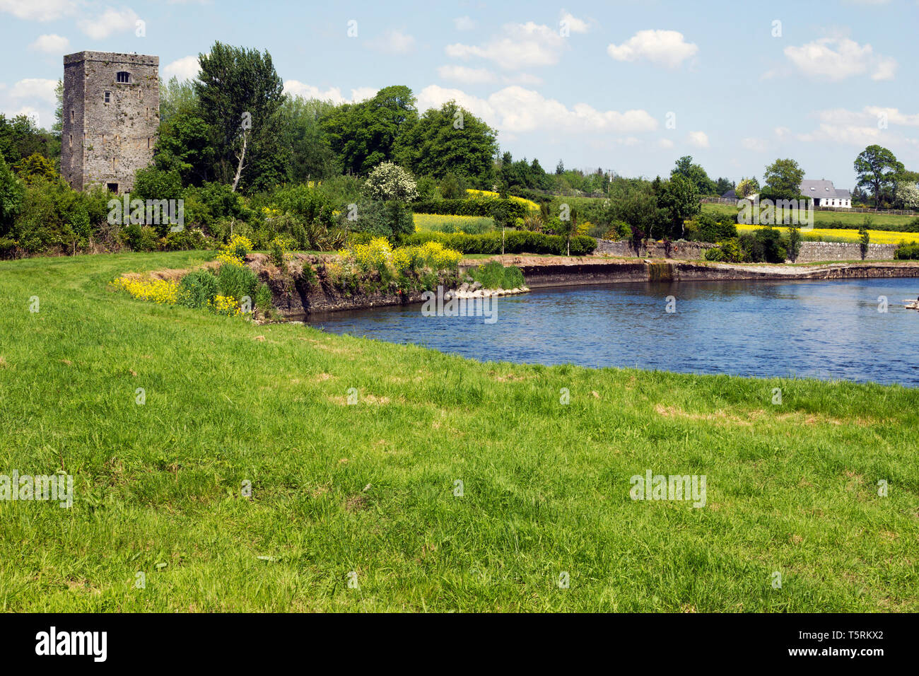 Landscape of Suir River and a tower house on its bank in County ...