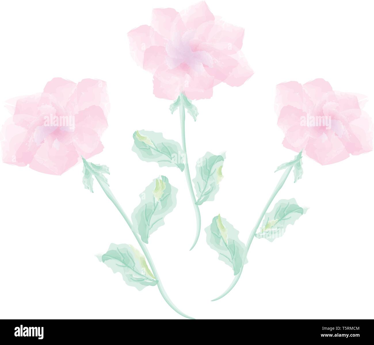 Pink summer flowers rose Stock Vector Images - Alamy