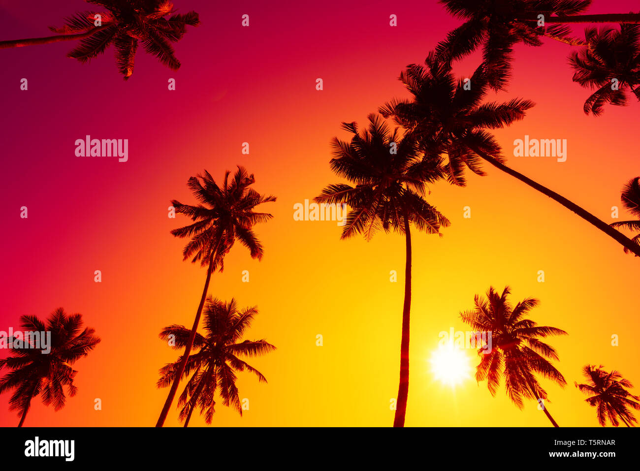Tropical summer sunset hi-res stock photography and images - Alamy