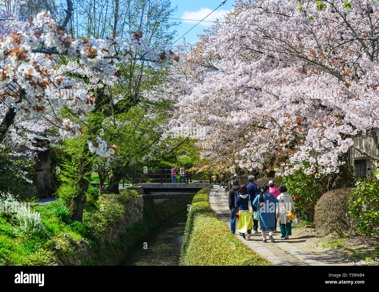 Kyoto, Japan - Apr 9, 2019. People walking on the Philosopher Path for ...