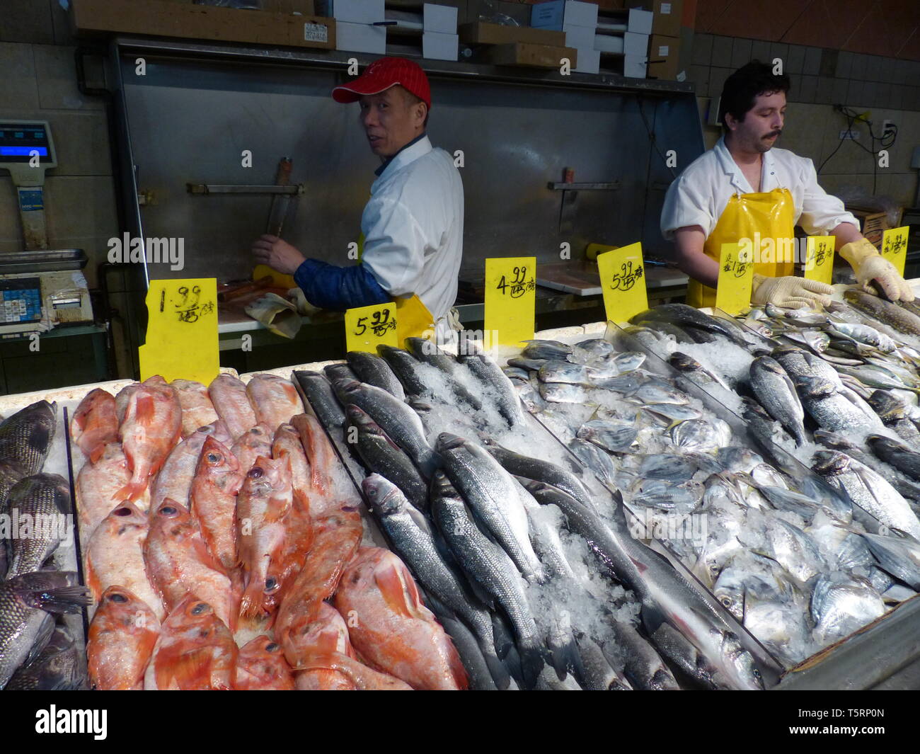 New York Chinatown fish store with fresh catch on display Stock Photo ...