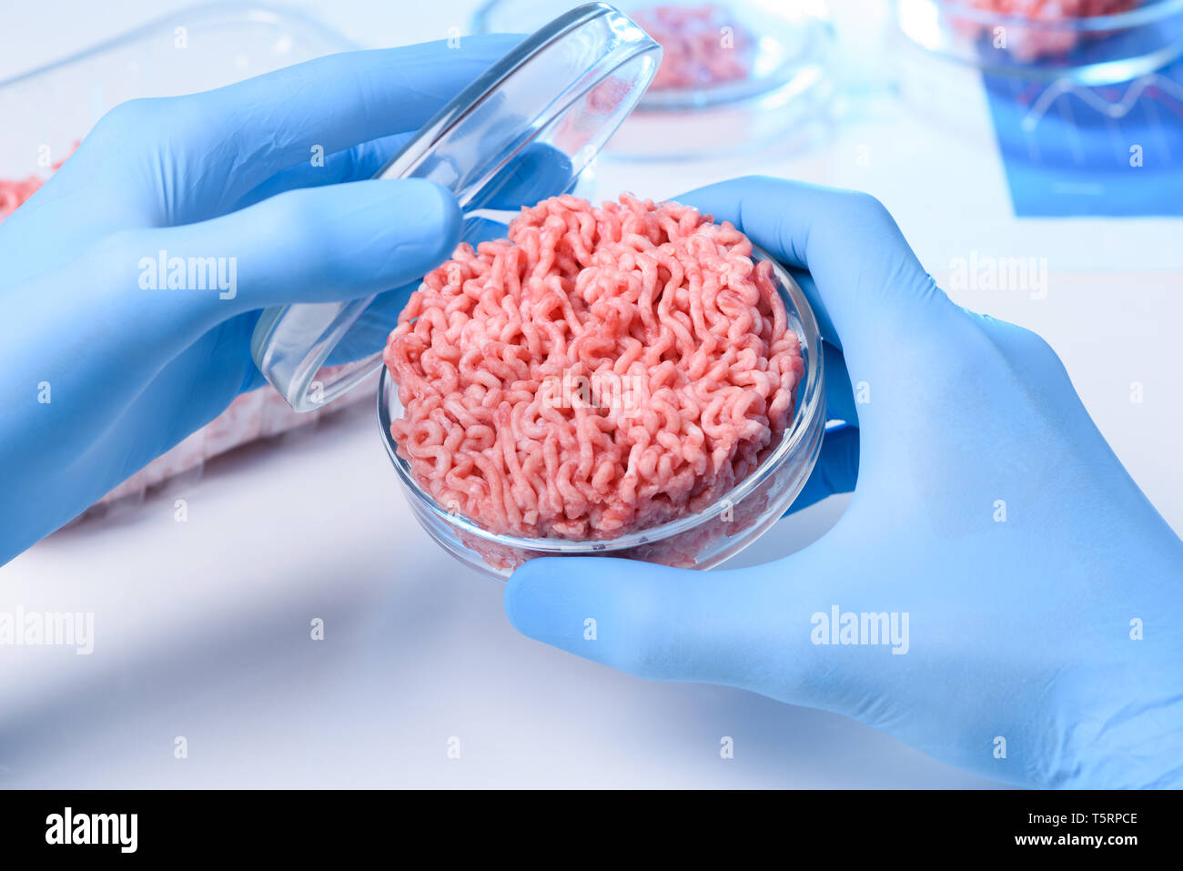 Ground beef lab hi-res stock photography and images - Alamy