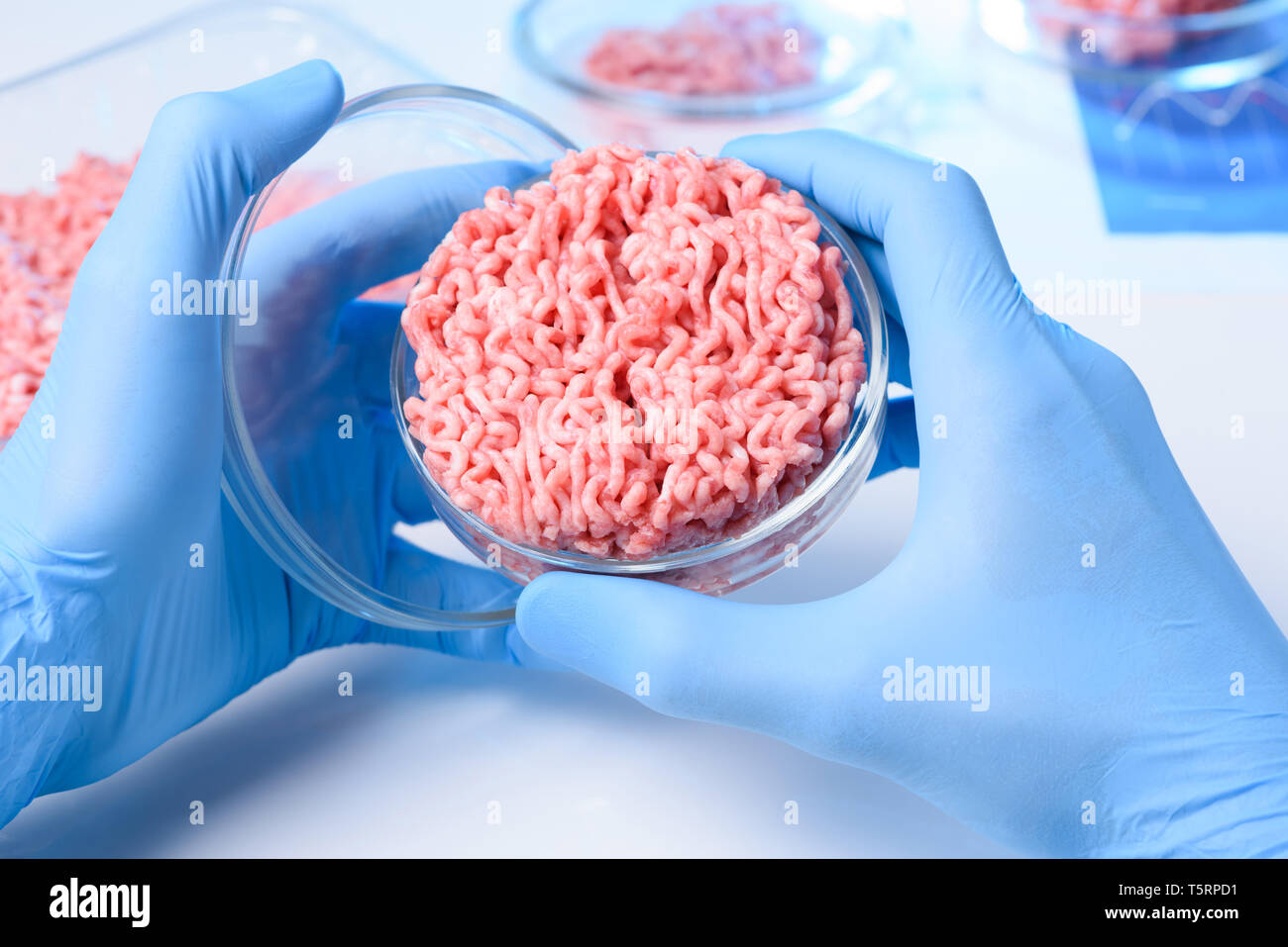 Meat sample in petri dish Stock Photo - Alamy