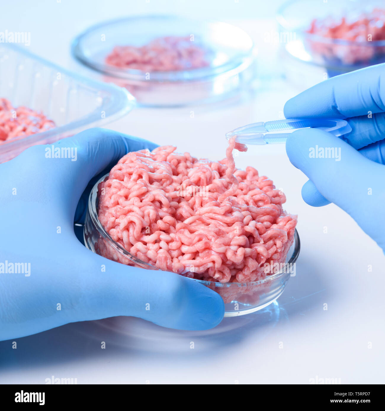 Ground beef lab hi-res stock photography and images - Alamy